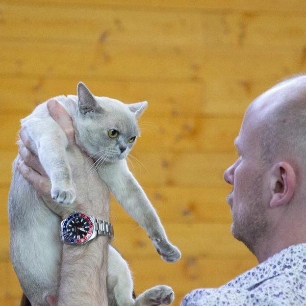 FIFe Cat Show, Slovakia 27.-28.08.2022. - Royal Esprit Burmese Cattery FIFe Cat Show, Slovakia 27.-28.08.2022. - Royal Esprit Burmese Cattery