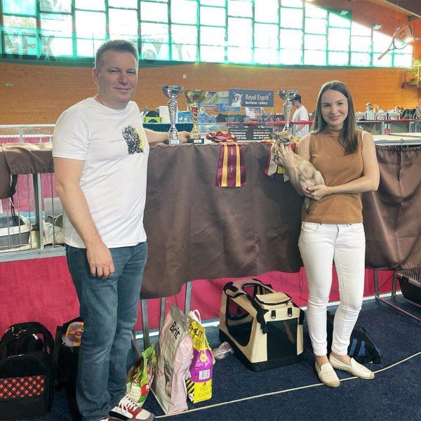 FIFe Cat Show, Slovakia 27.-28.08.2022. - Royal Esprit Burmese Cattery FIFe Cat Show, Slovakia 27.-28.08.2022. - Royal Esprit Burmese Cattery