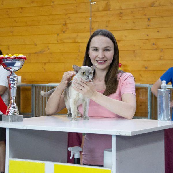 FIFe Cat Show, Slovakia 27.-28.08.2022. - Royal Esprit Burmese Cattery FIFe Cat Show, Slovakia 27.-28.08.2022. - Royal Esprit Burmese Cattery